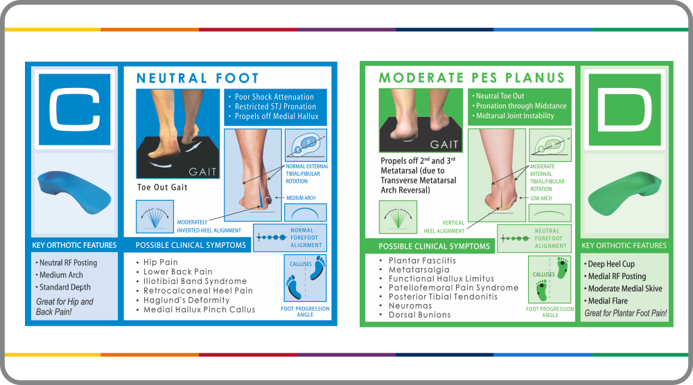 The Science Behind the C & D Foot Types - Instructor Roberta Nole, MA ...